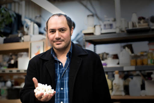 Diabetic creates open source protocol to produce insulin | Patient ...