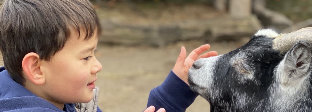 Hi Rasmus, an app that brings therapy closer to home. | Patient Innovation