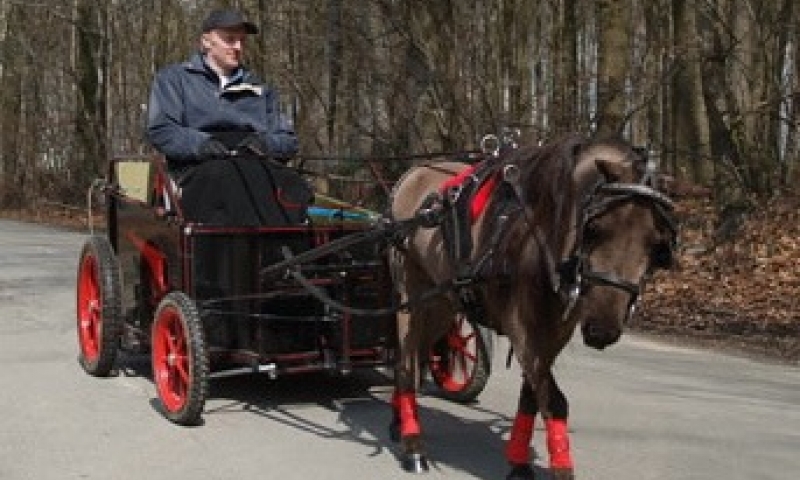 Wheelchair adaptation for carriages | Patient Innovation